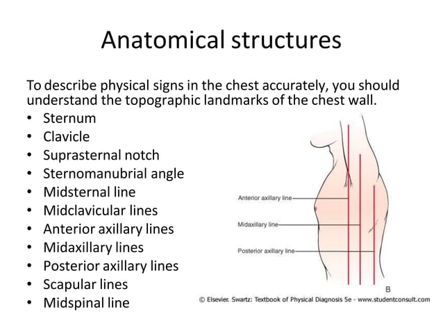 respiratorysystemhxandphysicalexamination-240122180613-b865ad5e.pptx