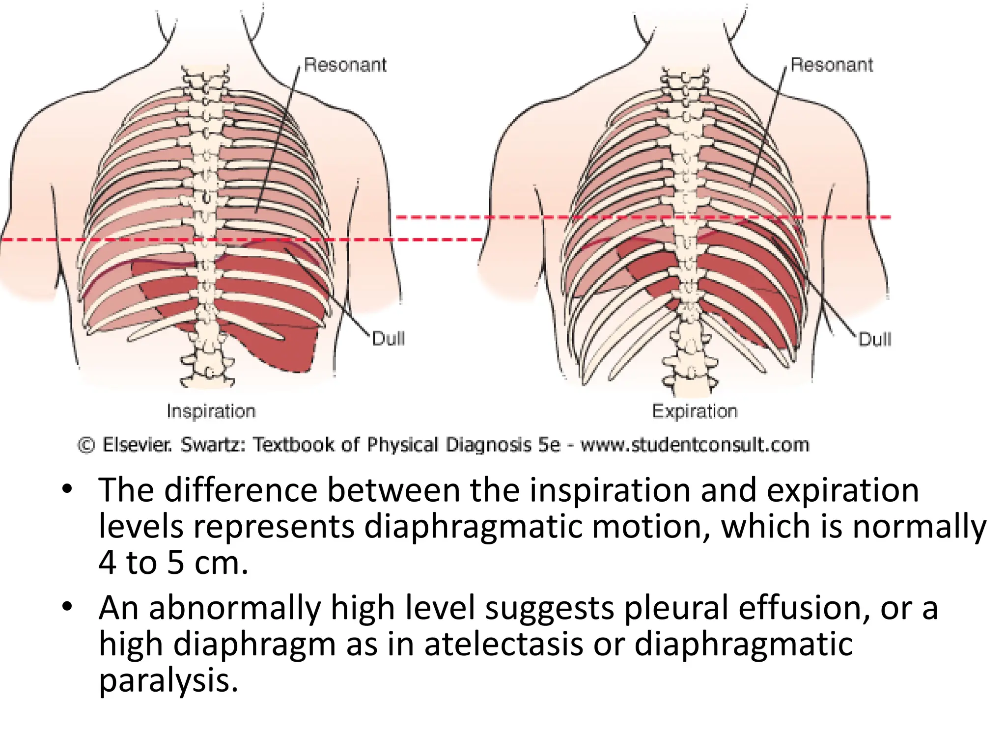 Respiratory system hx and Physical examination.pdf