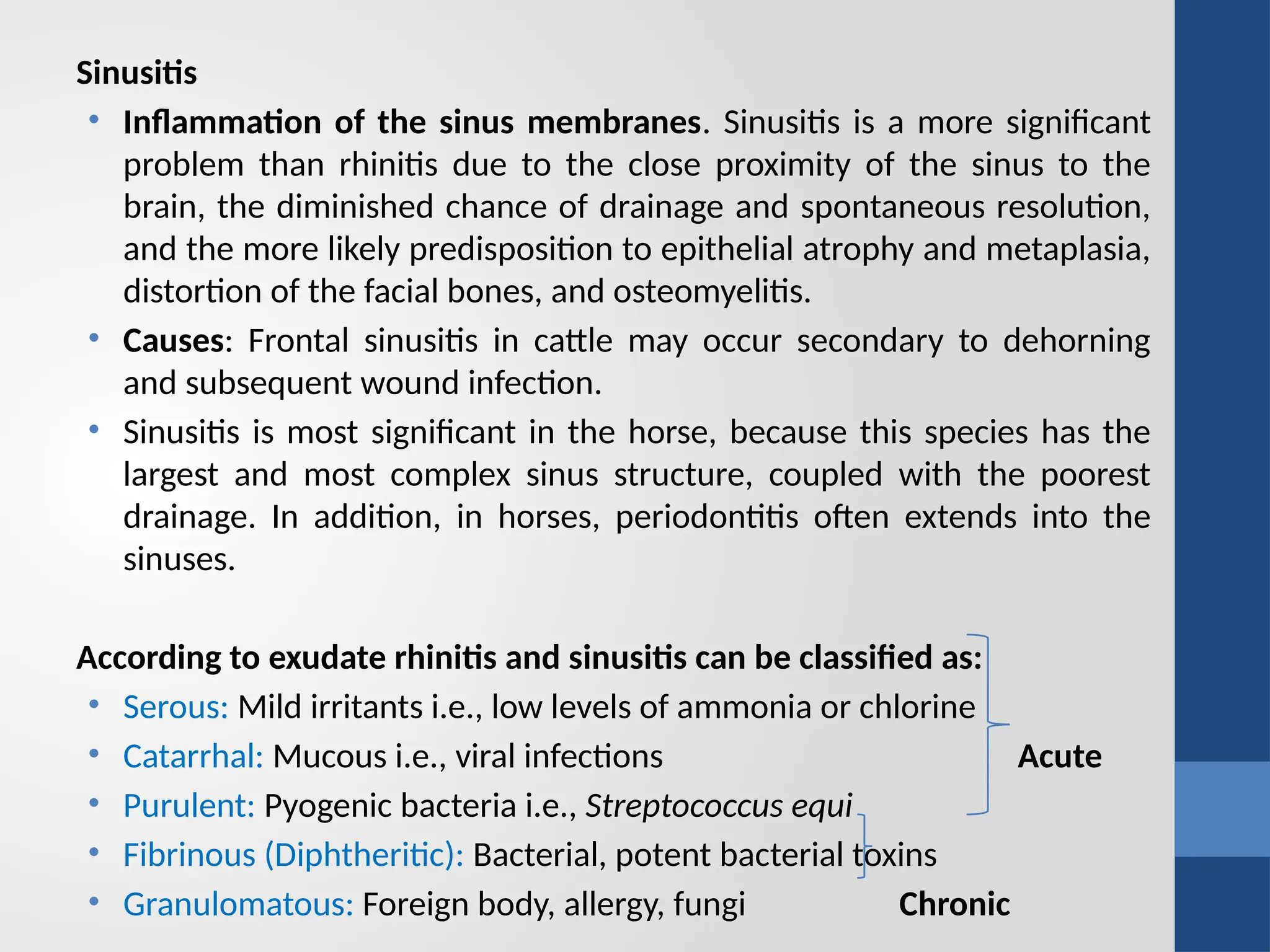 Respiratory System I & IgggdfhhhggggfgI.pptx