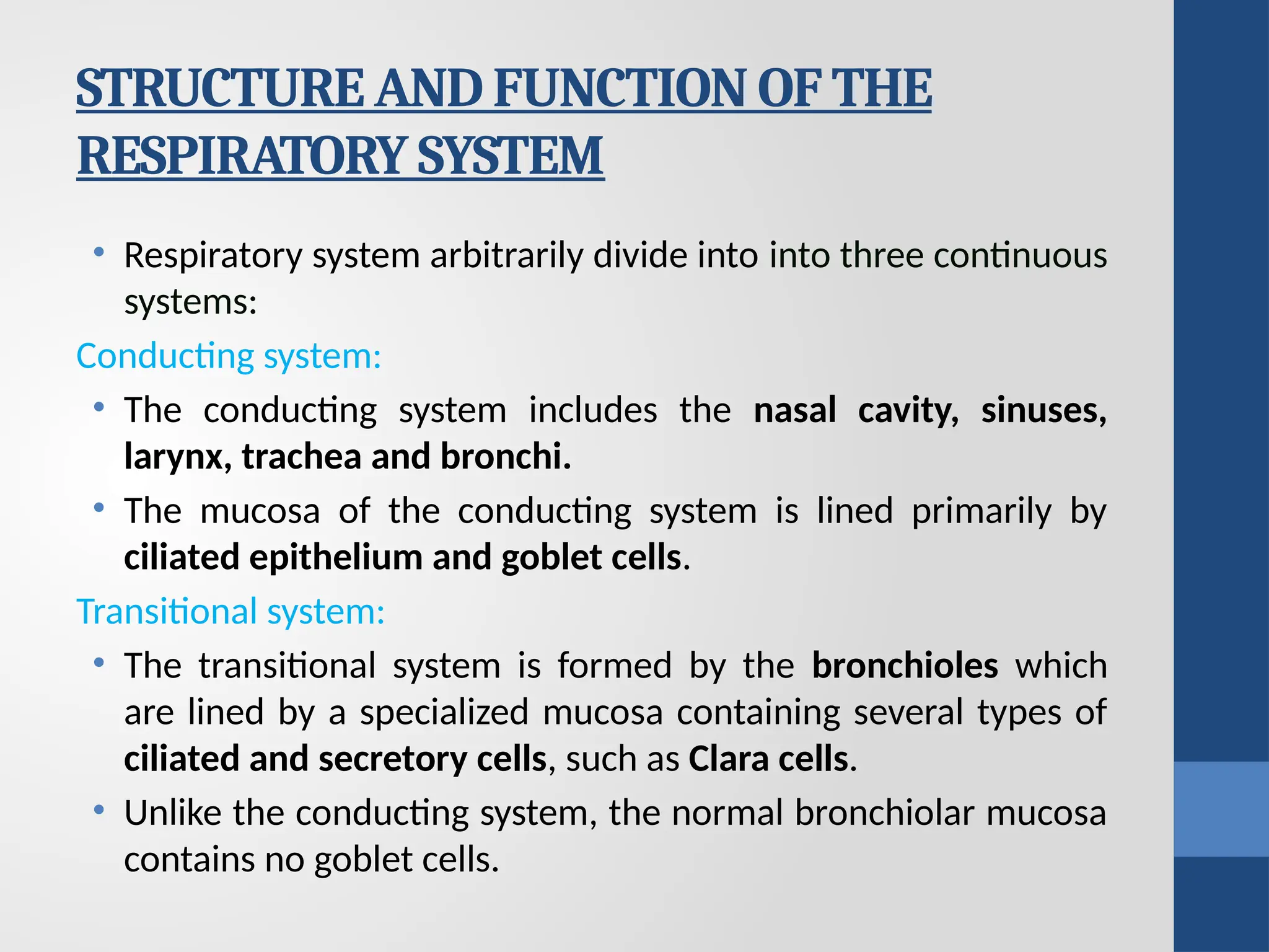 Respiratory System I & IgggdfhhhggggfgI.pptx