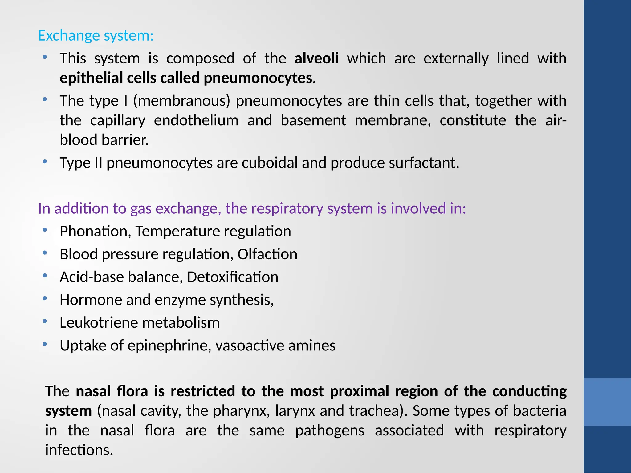 Respiratory System I & IgggdfhhhggggfgI.pptx