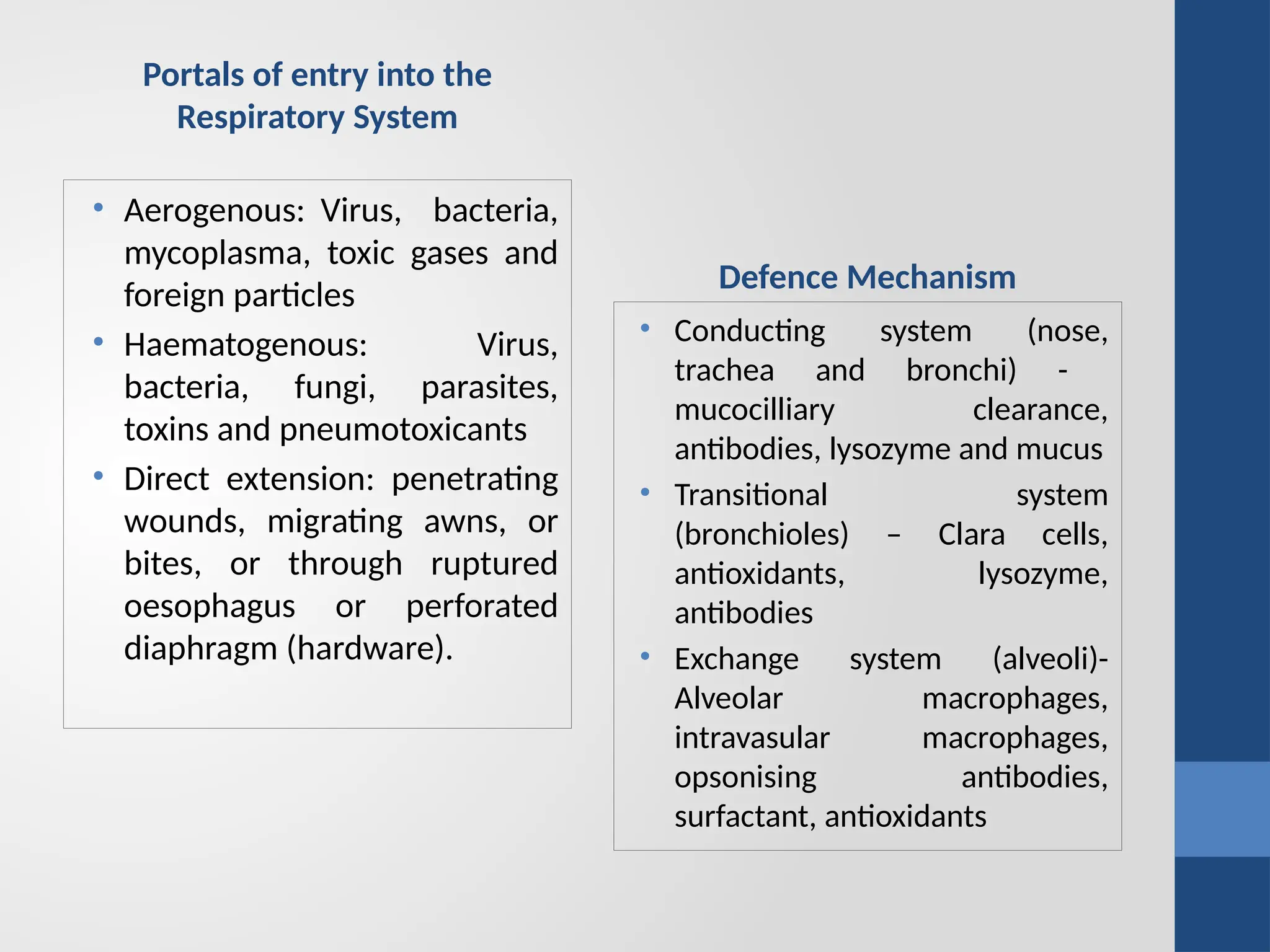Respiratory System I & IgggdfhhhggggfgI.pptx