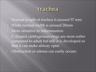 Respiratory system in children | PPT