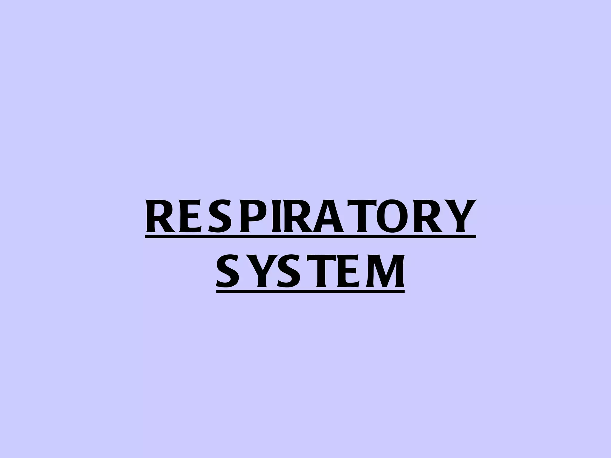 Respiratory system in mammals | PPT
