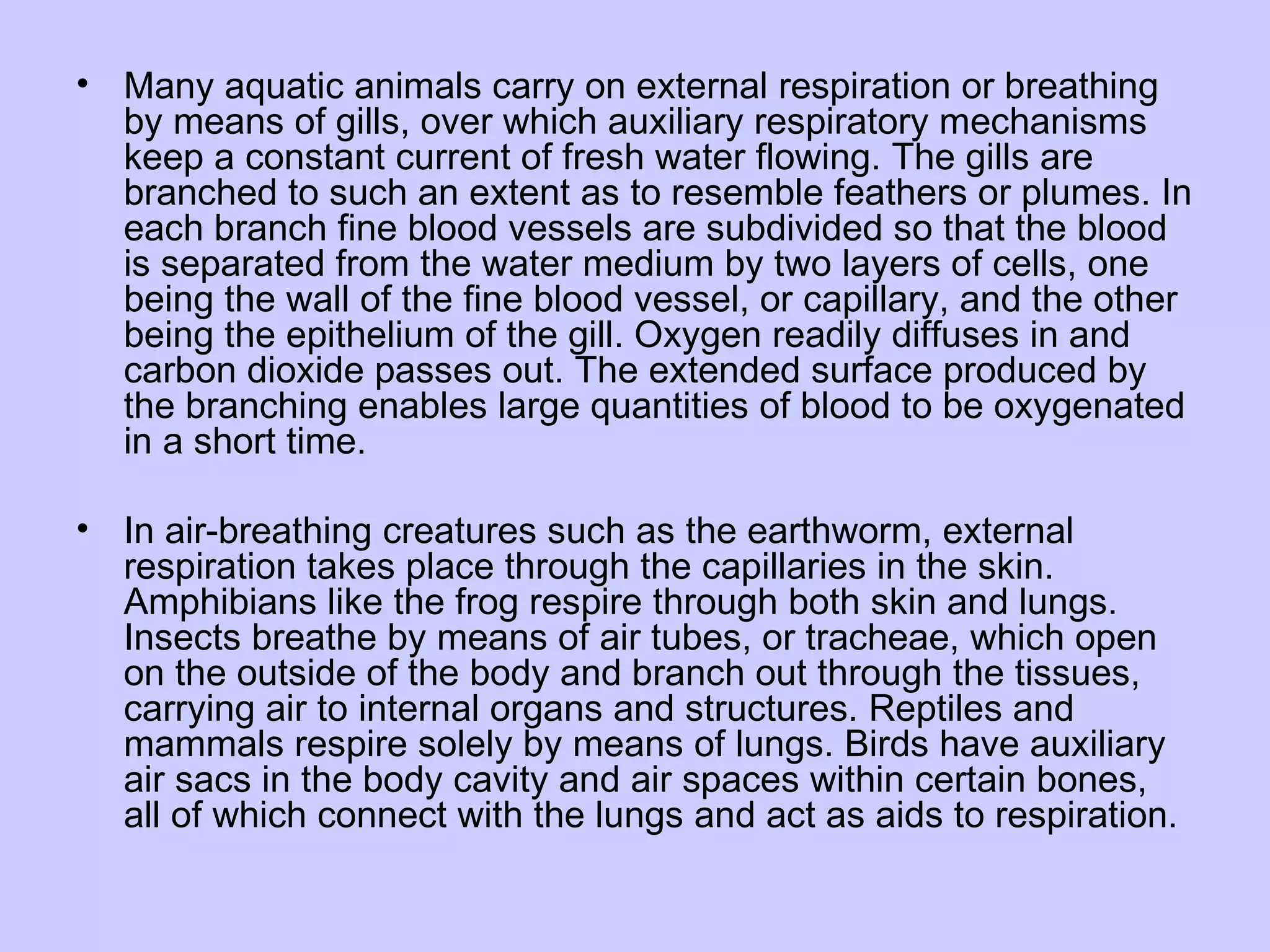 Respiratory system in mammals | PPT