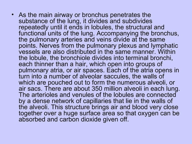 Respiratory system in mammals | PPT