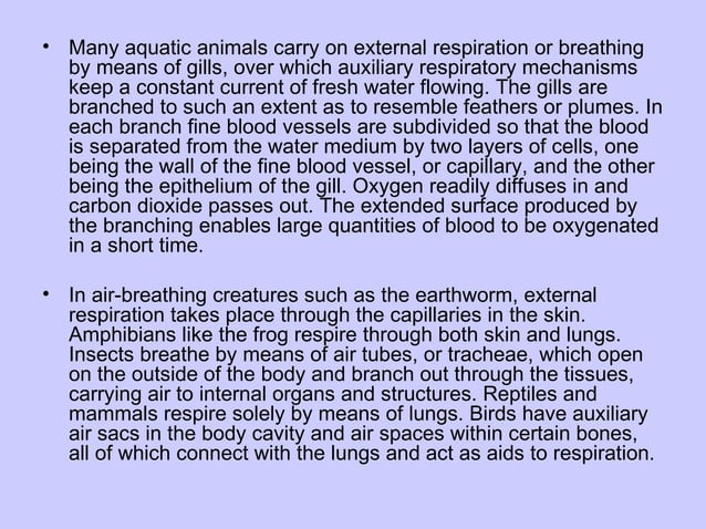 Respiratory system in mammals | PPT