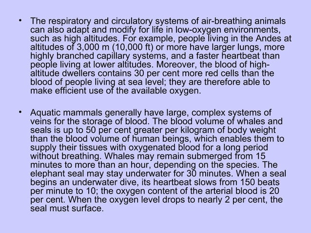 Respiratory system in mammals | PPT