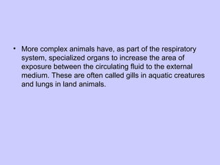 Respiratory system in mammals | PPT