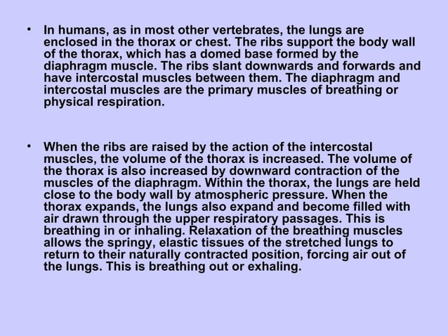 Respiratory system in mammals | PPT
