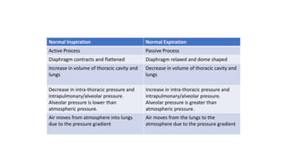 Respiratory System IRS 1.pptx