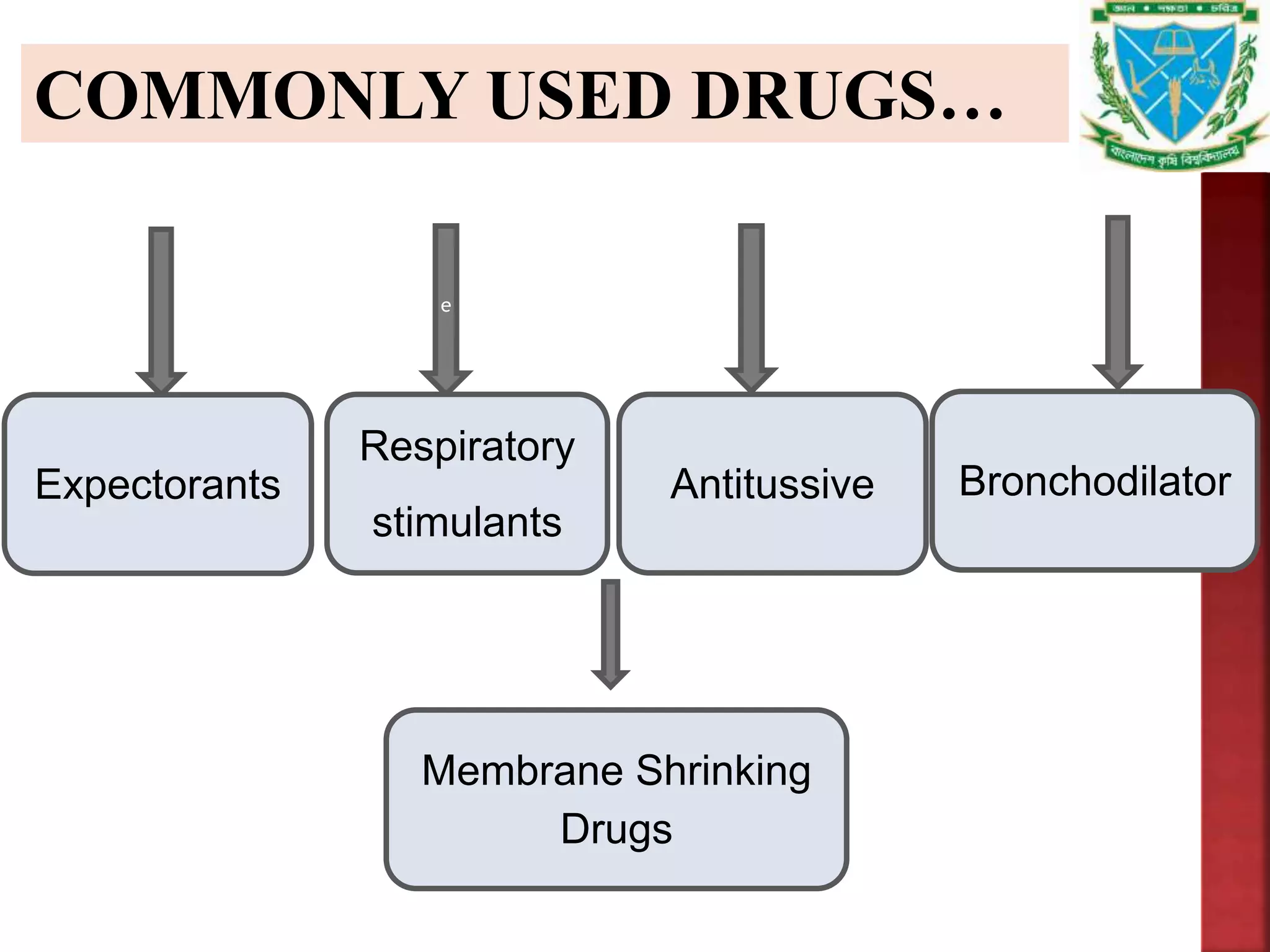 Respiraratory system pharmacology | PPTX