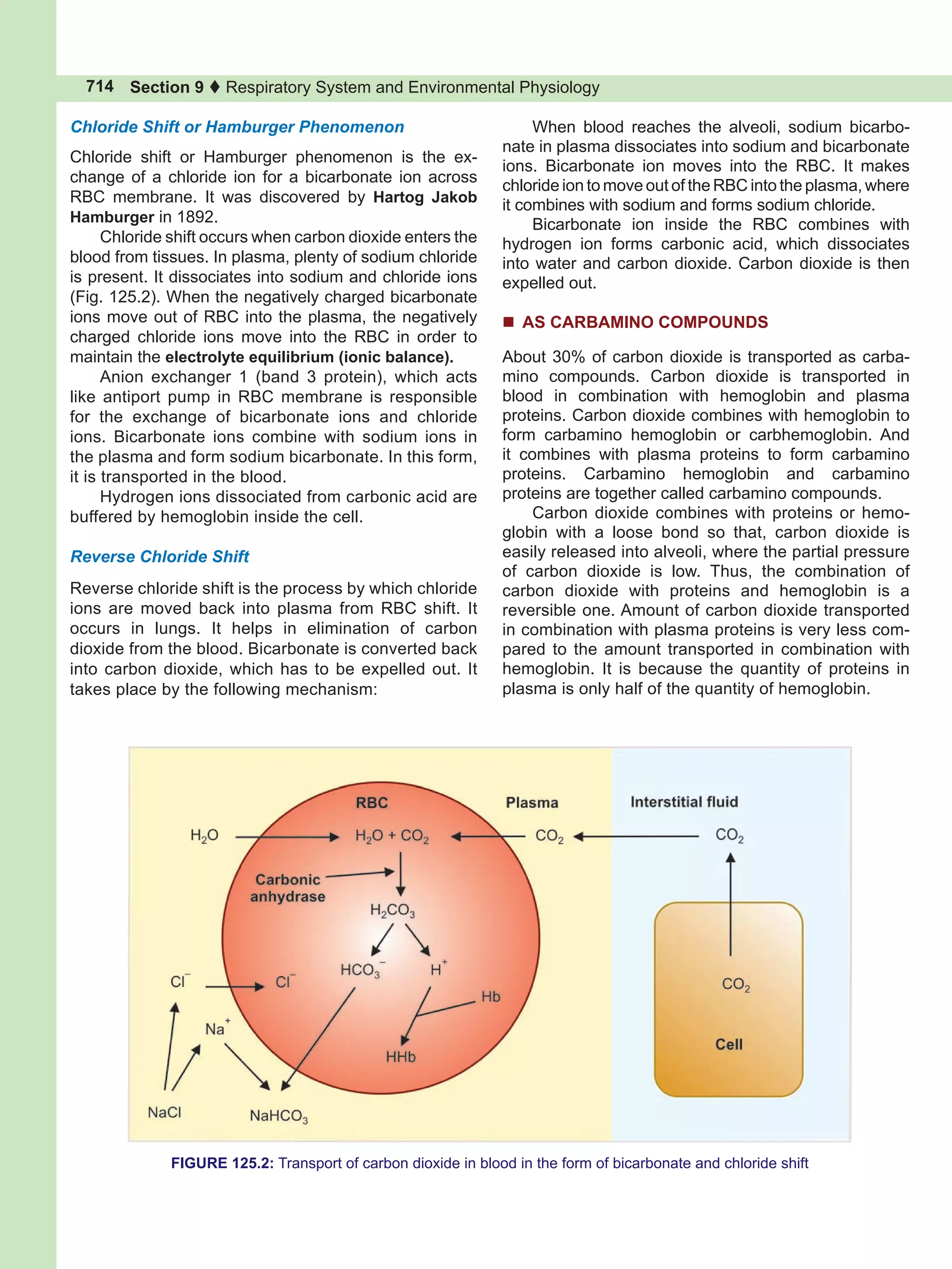 Respiratory system k sembulingam 6th edition | PDF