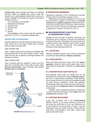 Respiratory system k sembulingam 6th edition | PDF