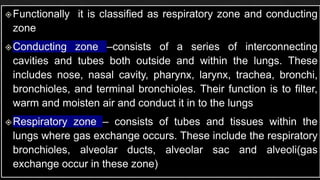 RESPIRATORY SYSTEM and the functions .pptx | Lung and Respiratory Health | Diseases and Conditions
