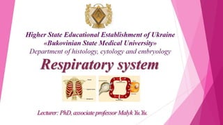 Respiratory system | PPT