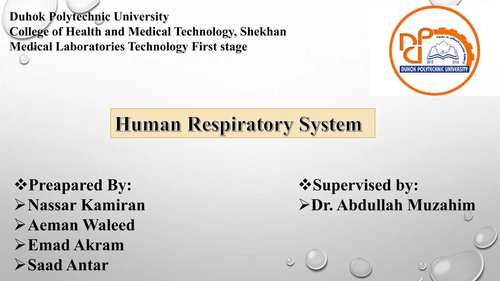 respiratory system new seminar(anatomy).pptx