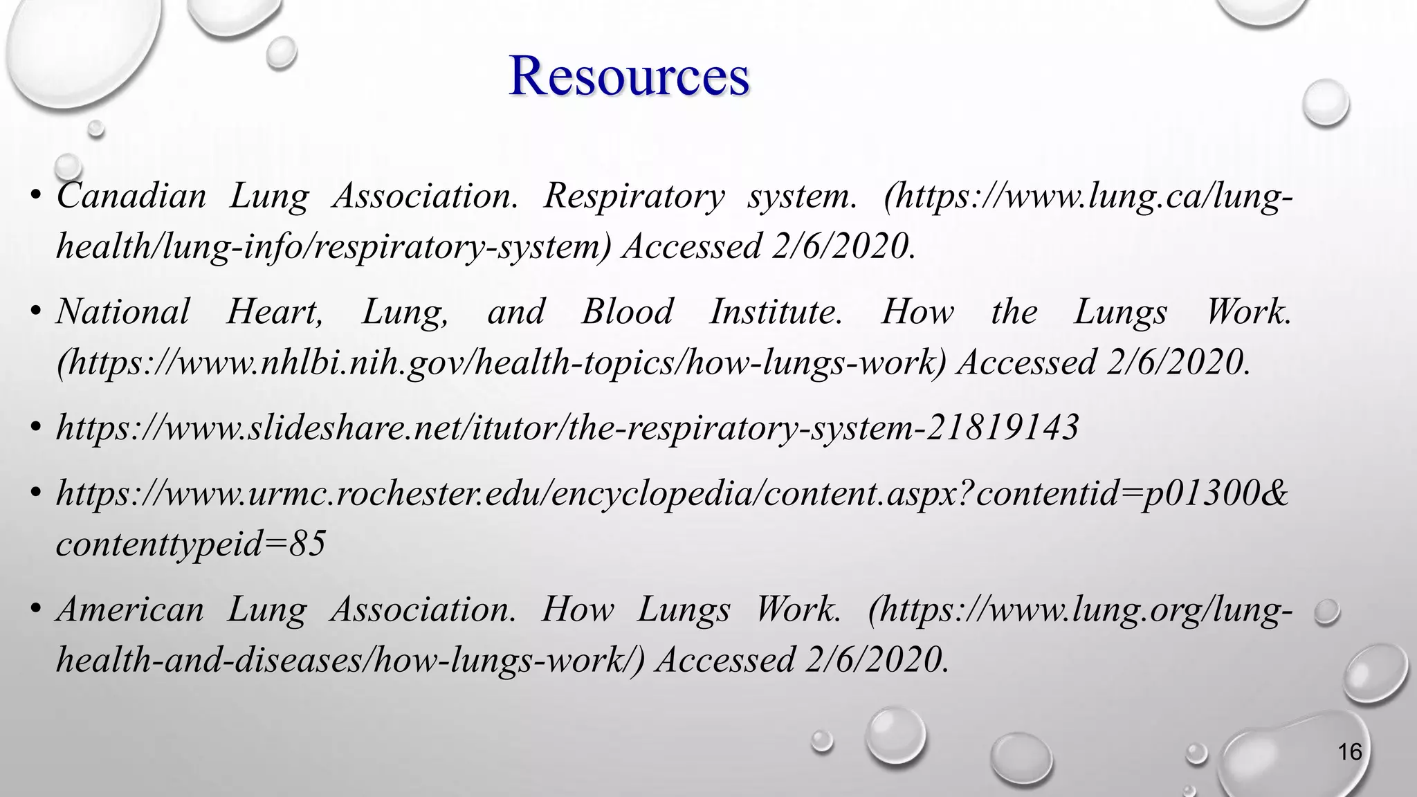 respiratory system new seminar(anatomy).pptx