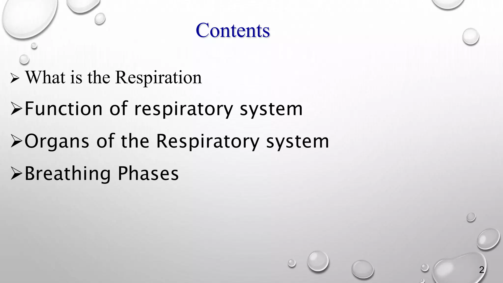 respiratory system new seminar(anatomy).pptx