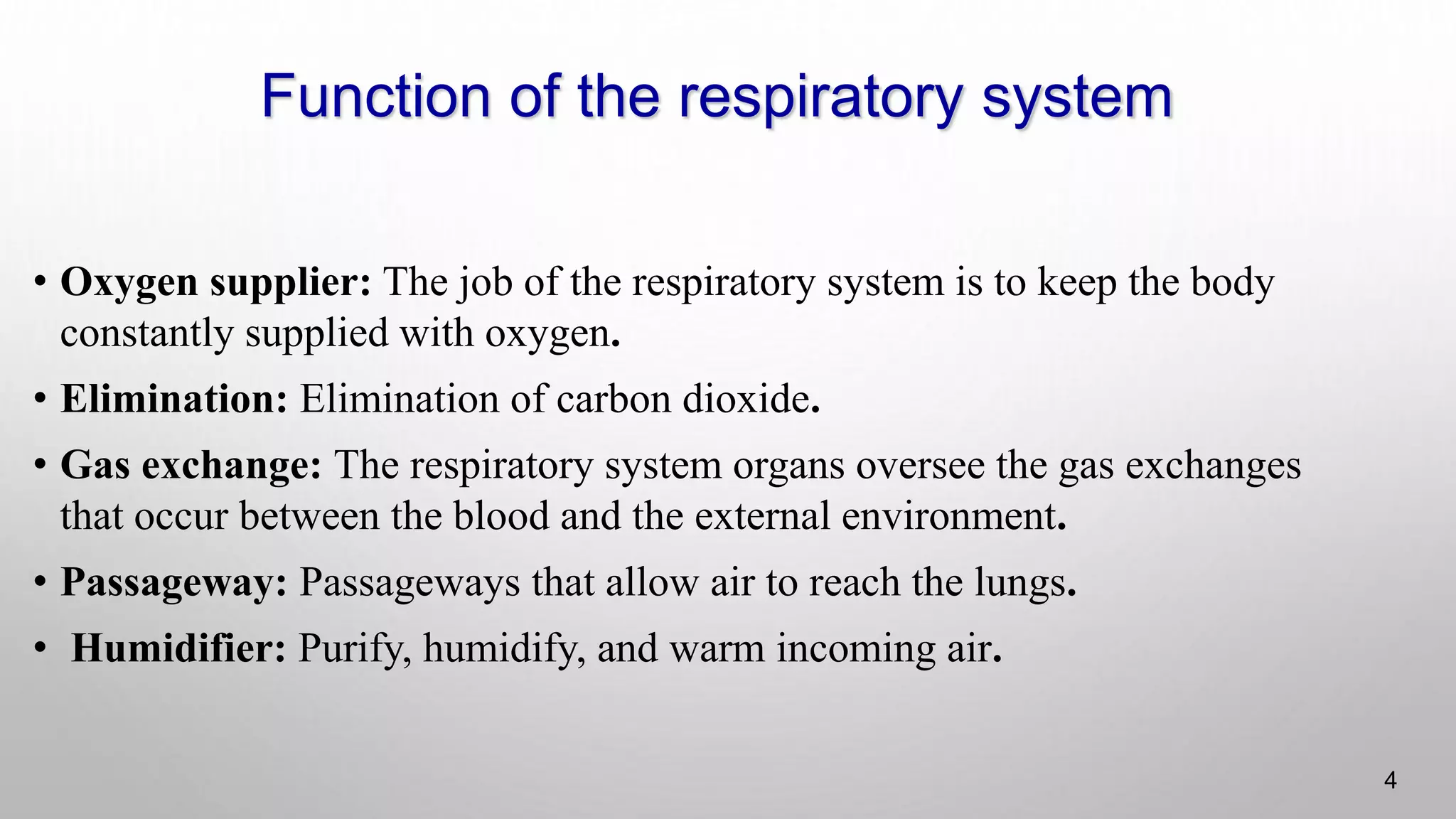 respiratory system new seminar(anatomy).pptx