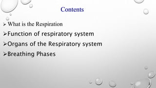 respiratory system new seminar(anatomy).pptx