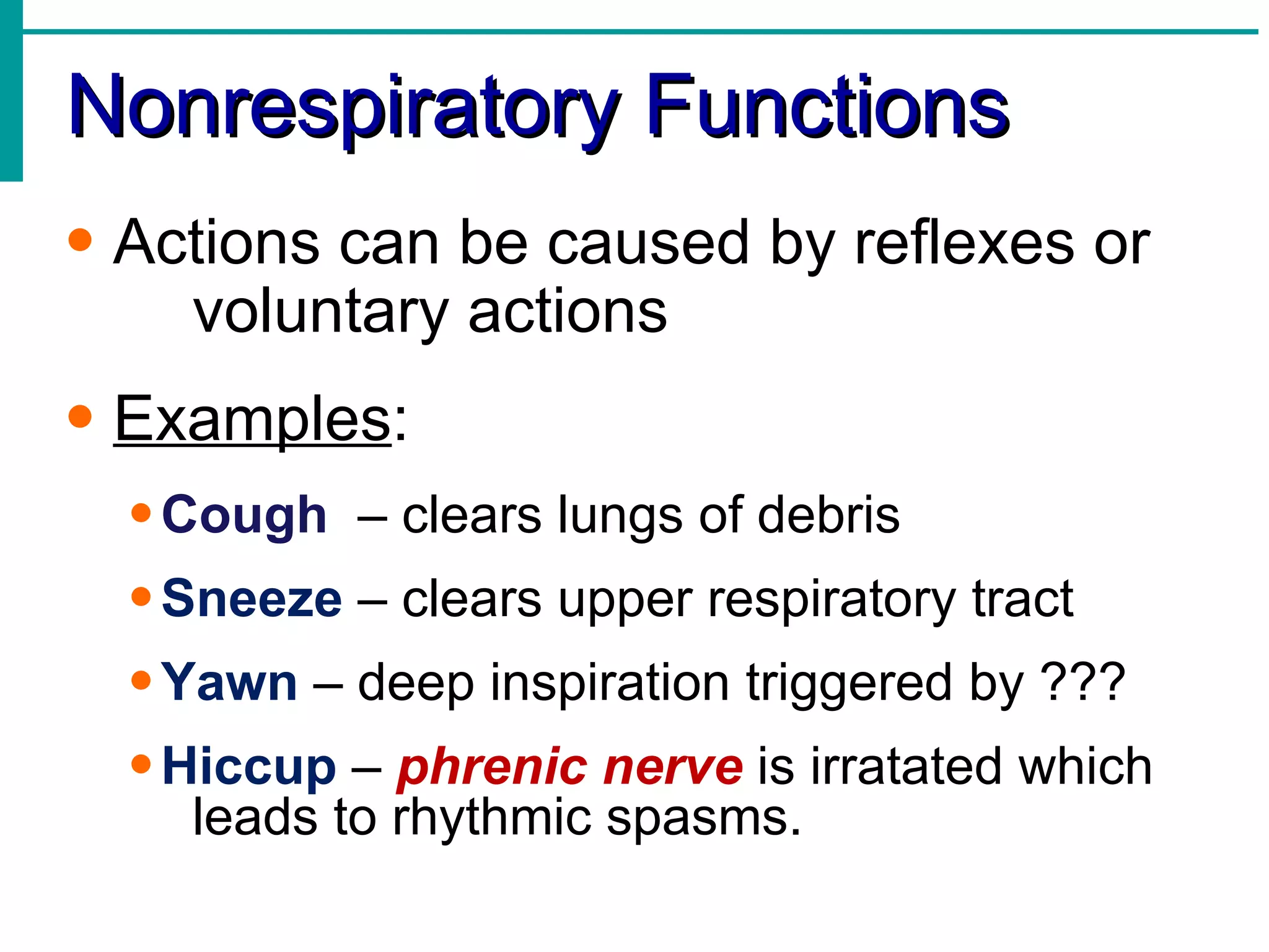 Respiratory System Notes | PPT