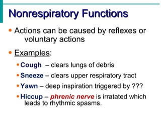 Respiratory System Notes | PPT