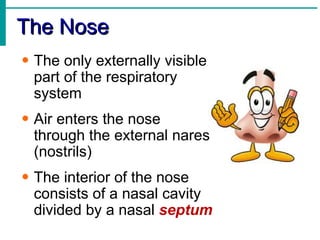 Respiratory System Notes | PPT