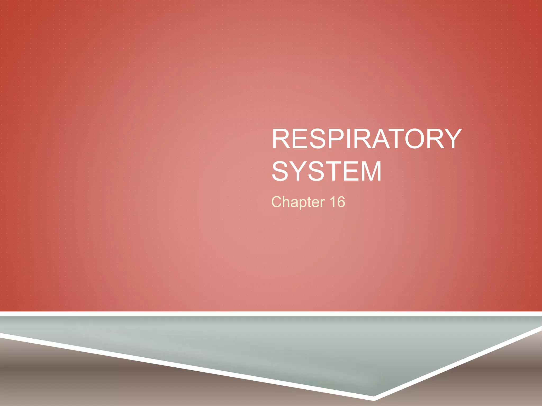 Respiratory System | PPTX