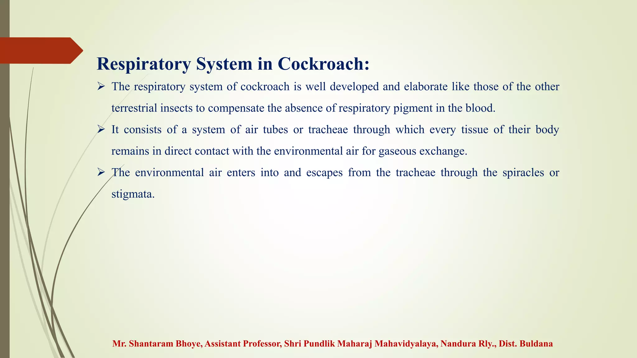 Respiratory system of Cockroach.pptx