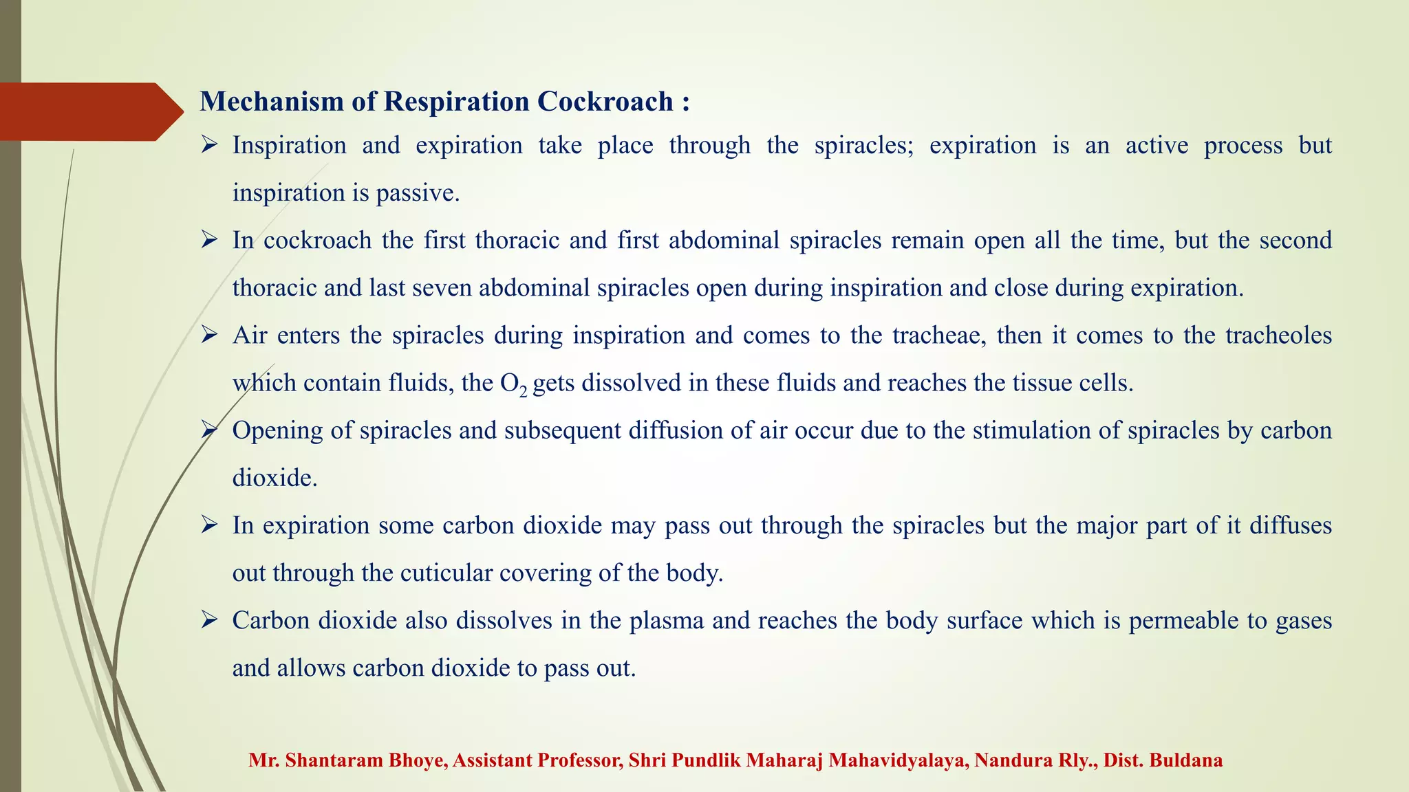 Respiratory system of Cockroach.pptx