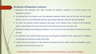 Respiratory system of Cockroach.pptx