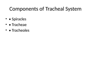 Respiratory_System_of_Insects_Labelled_Diagrams.pptx