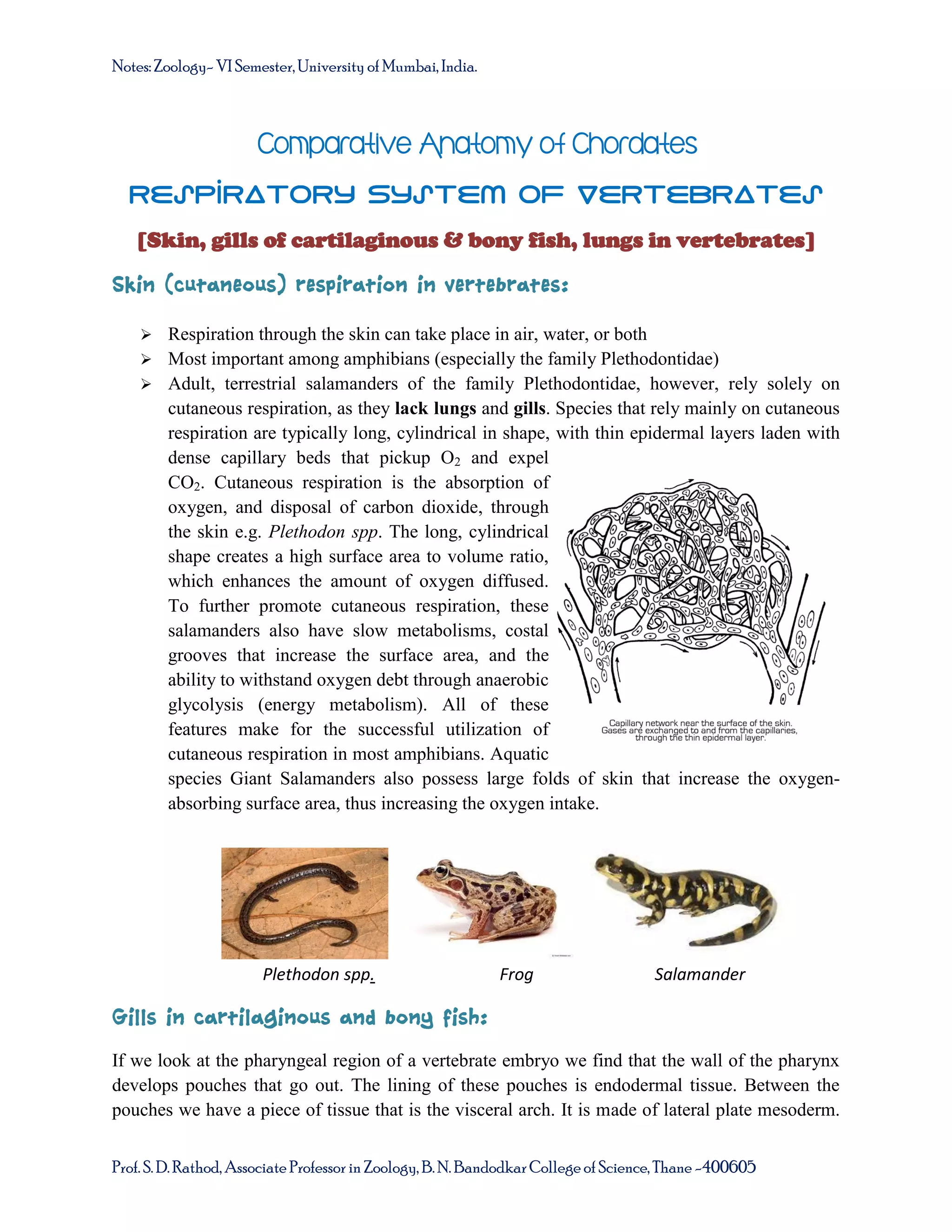 Respiratory system of vertebrates: Notes for the TYBSc course ...