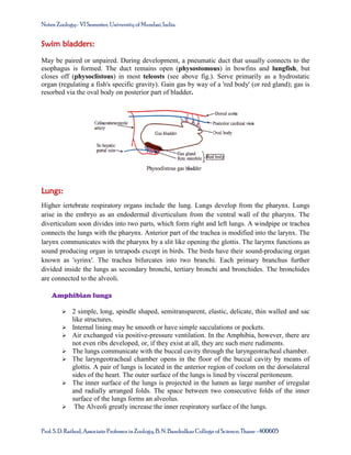 Respiratory system of vertebrates: Notes for the TYBSc course ...