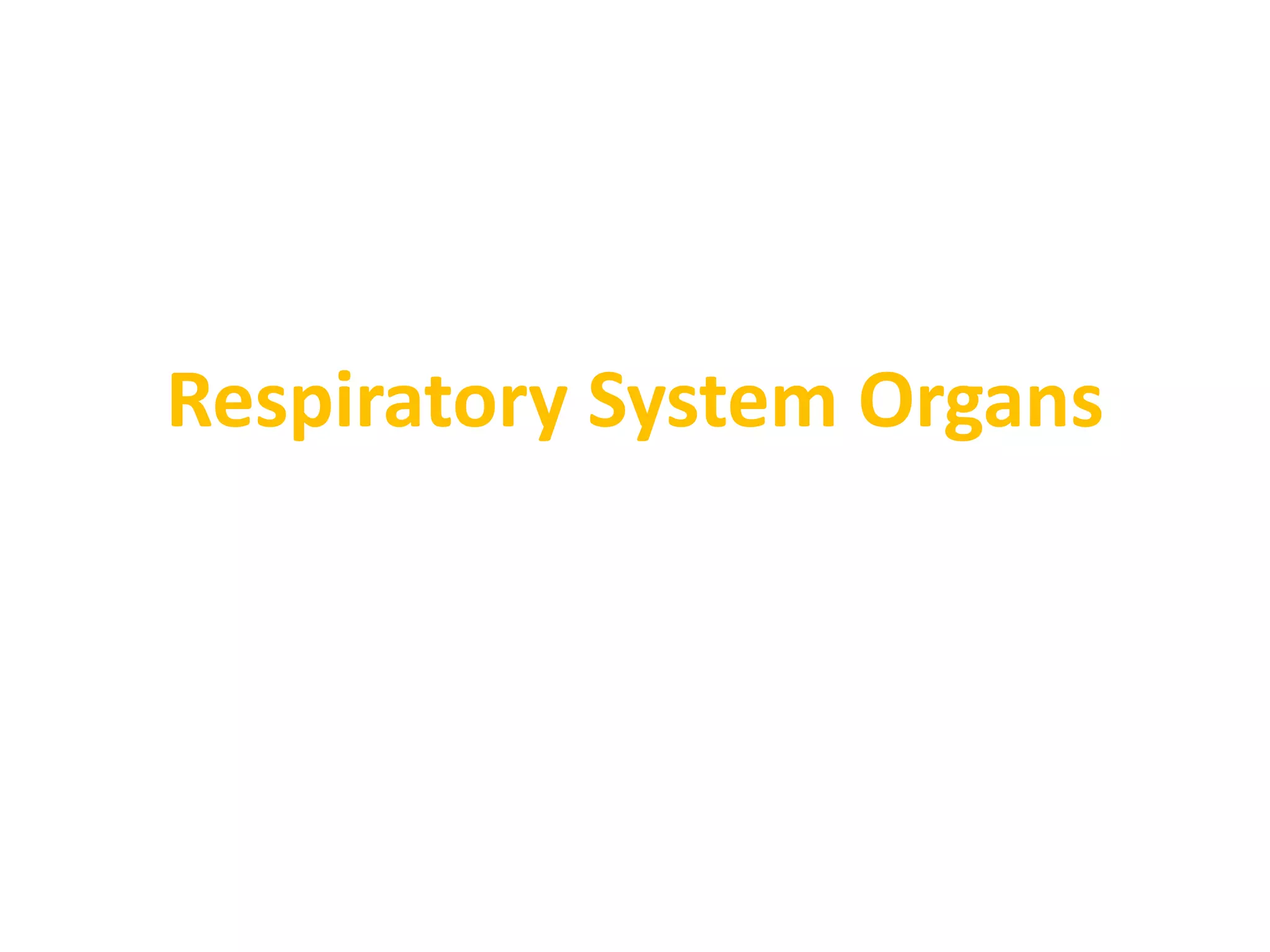 Respiratory system organs | PPT