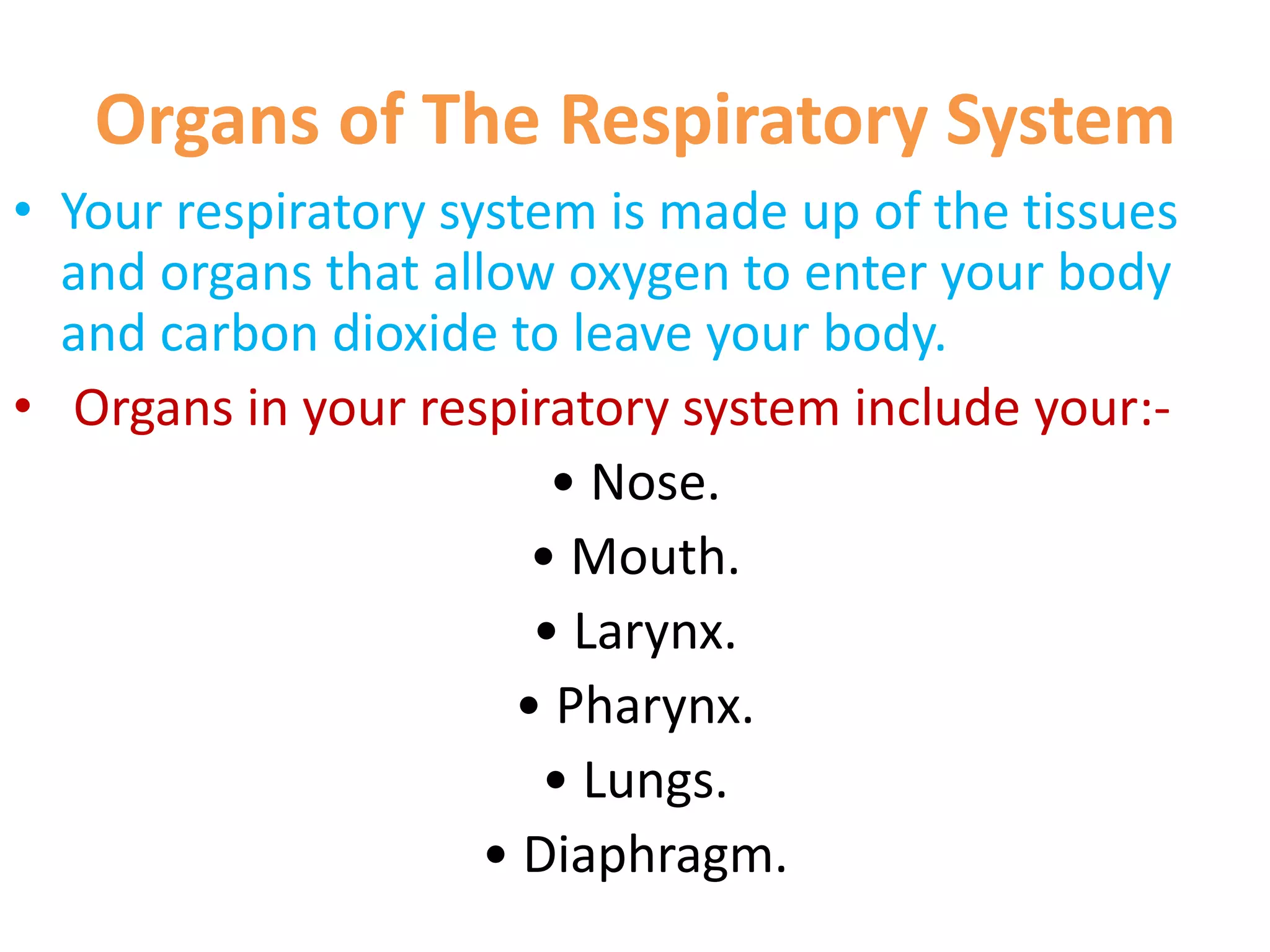 Respiratory system organs | PPT