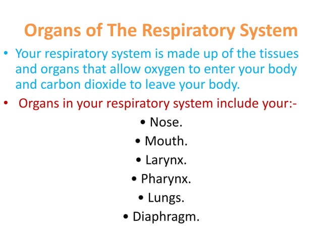 Respiratory system organs | PPT
