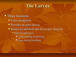 Respiratory system orginal | PPT