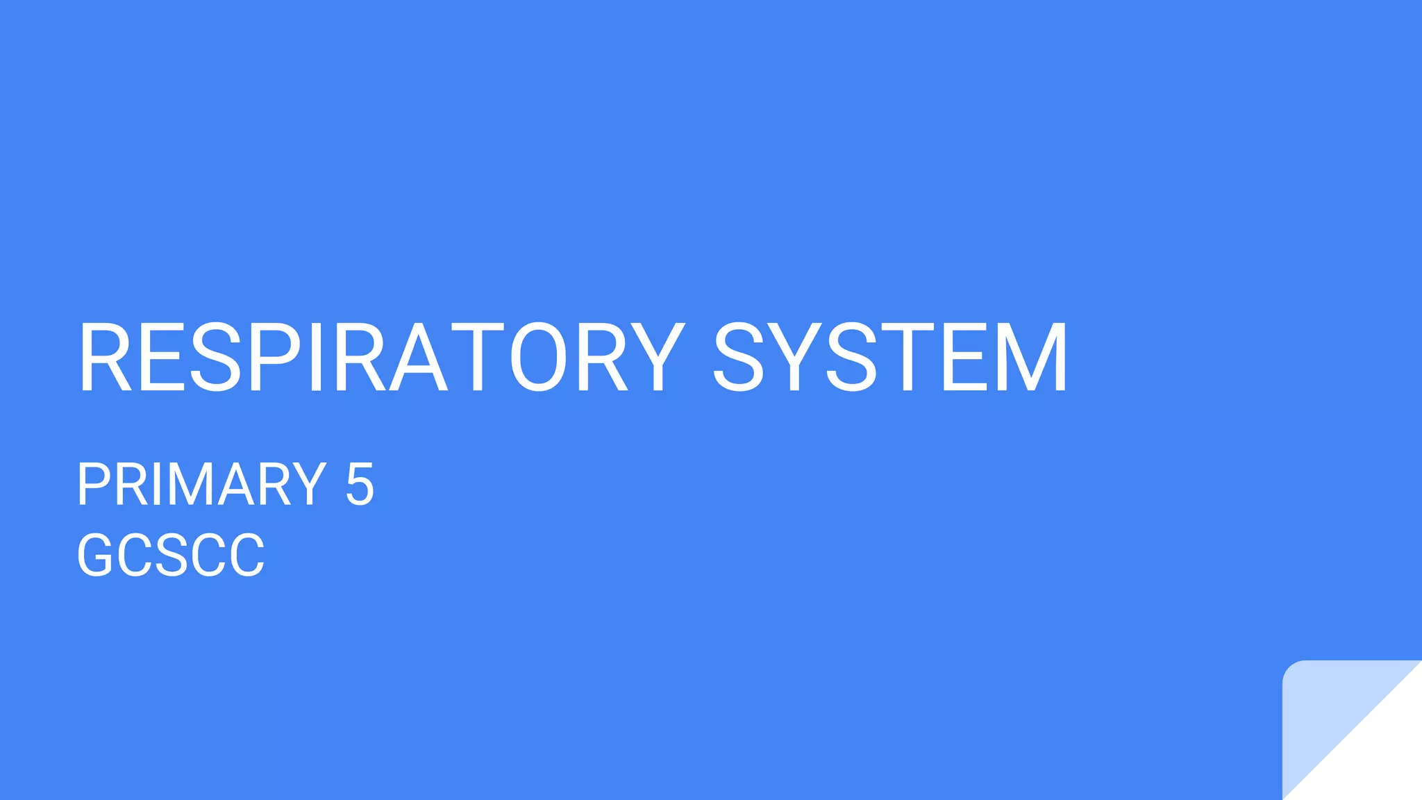 RESPIRATORY SYSTEM P5.pptx