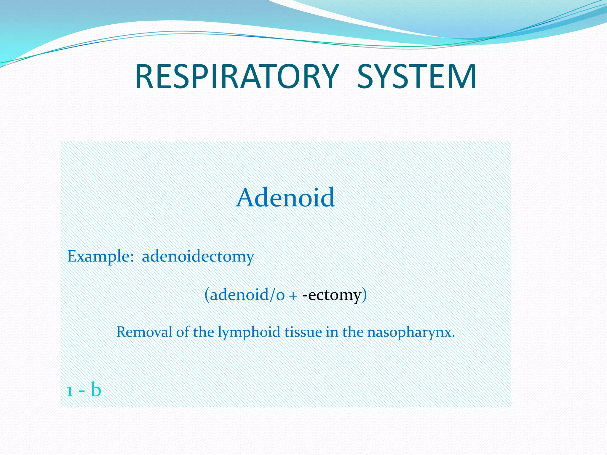 Respiratory system part 1 of 2 | PPTX