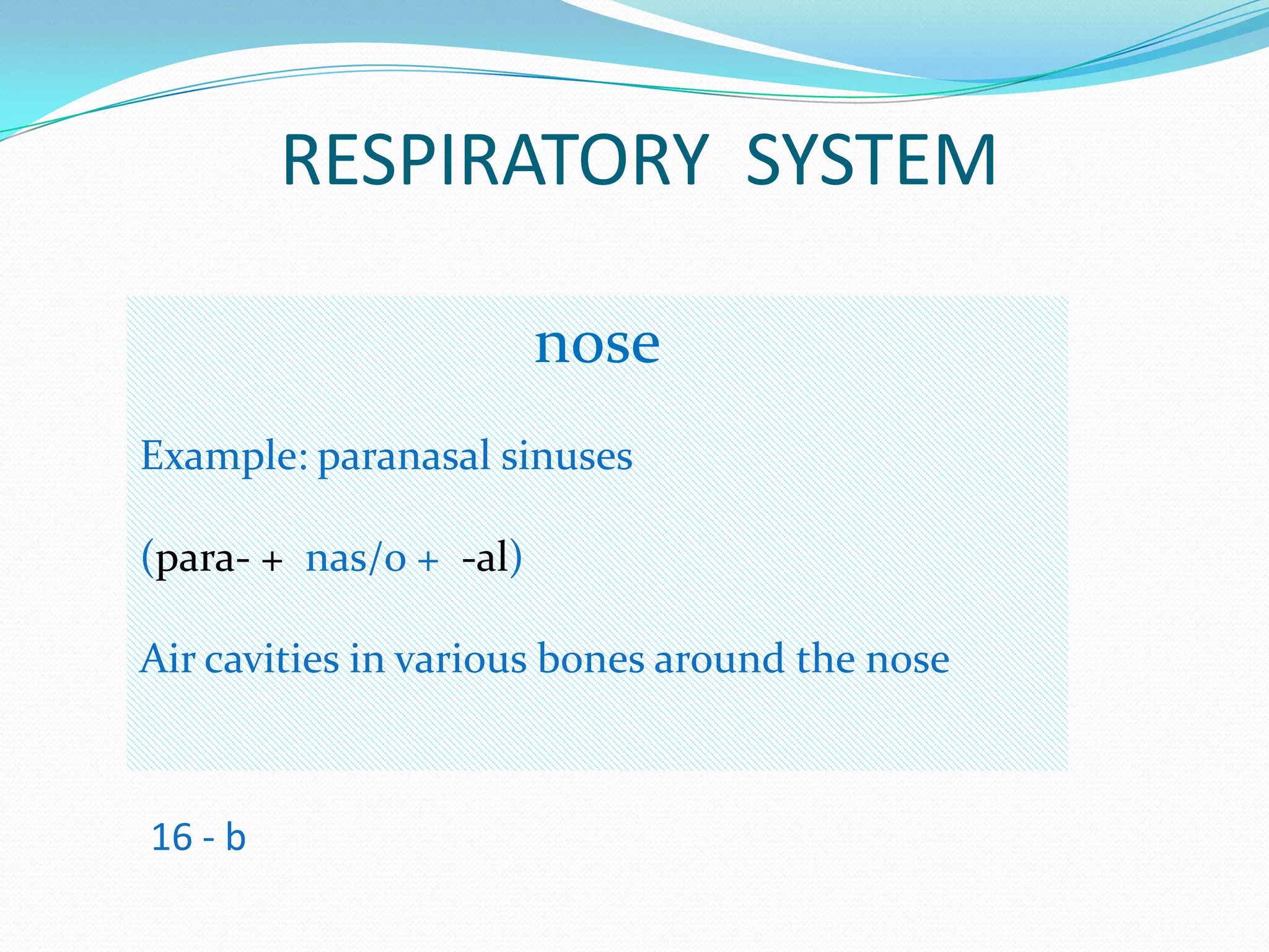 Respiratory system part 1 of 2 | PPTX