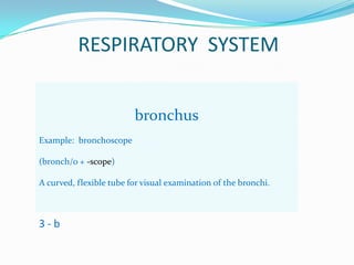 Respiratory system part 1 of 2 | PPTX