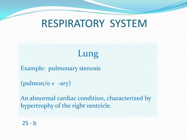 Respiratory system part 2 of 2 | PPT