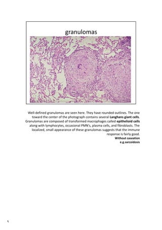 Respiratory system pathology lab | PDF