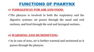 respiratory system (pharynx)vvvvvvv.pptx