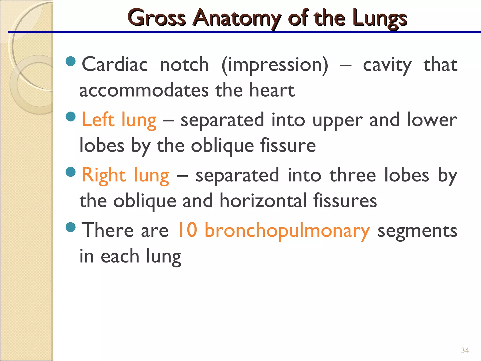 Respiratory system physio | PPT