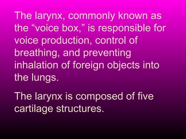 Respiratory system of goat | PPT