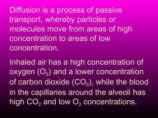 Respiratory system of goat | PPT
