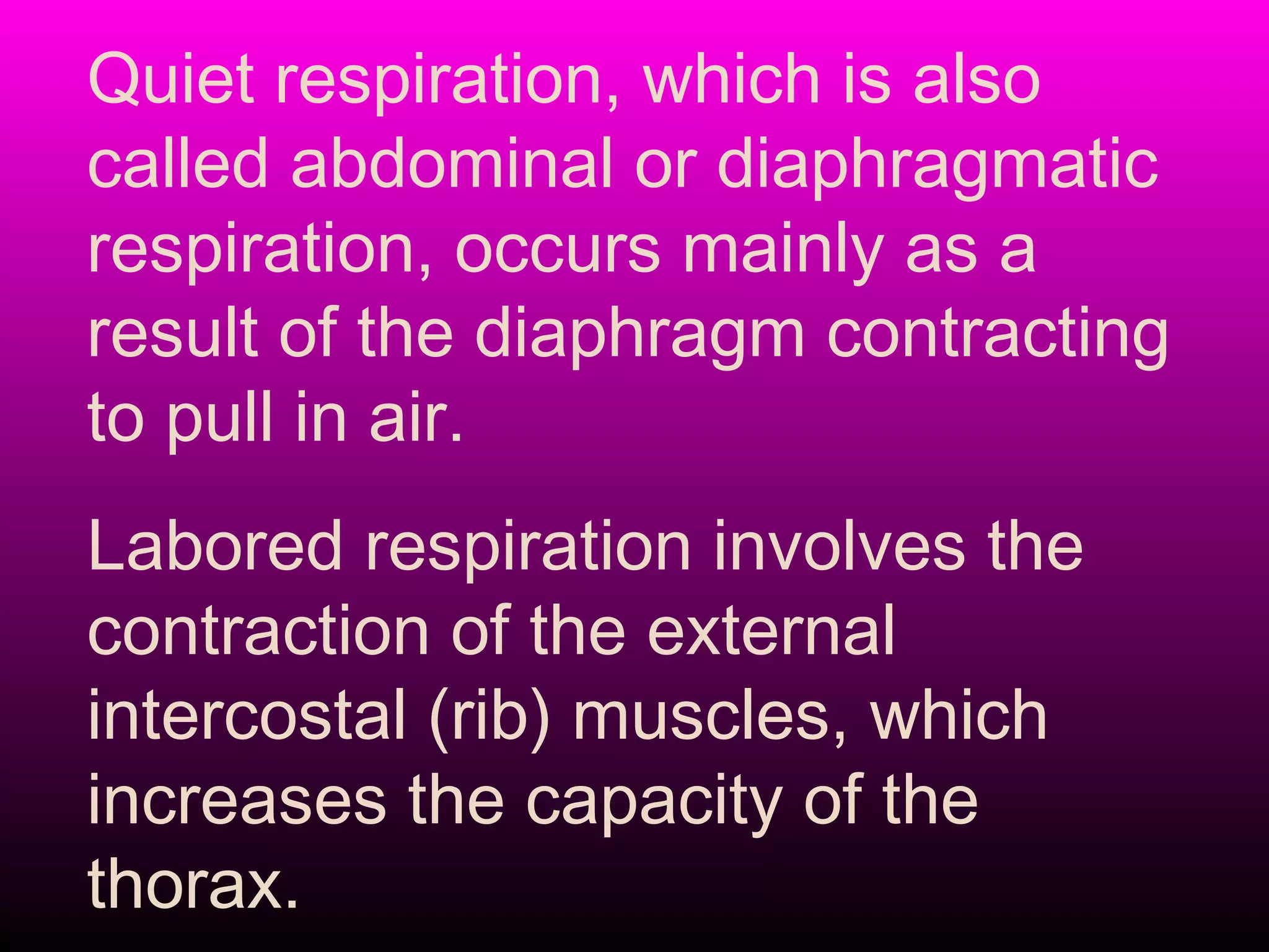 Respiratory system power point 12 | PPT